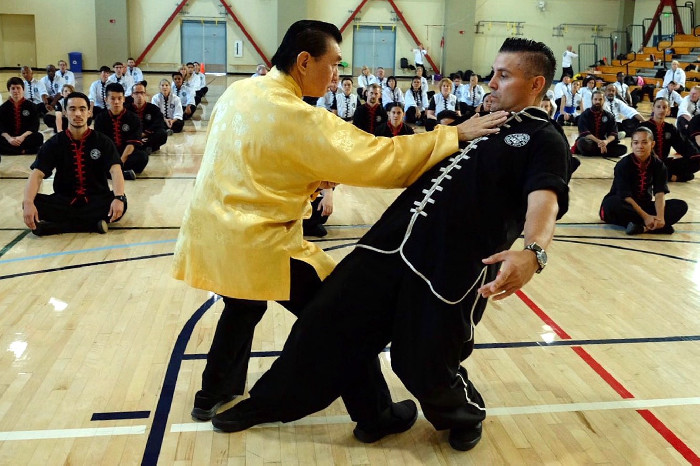 Choy Li Fut Kung Fu :: Wing Chun a Sebeobrana Ostrava